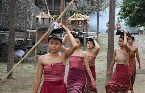 Comment Le Village Bali Aga De Tenganan A Obtenu Ses Terres Bali