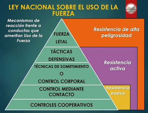 Ley Nacional Sobre El Uso De La Fuerza Presentación En Power Point