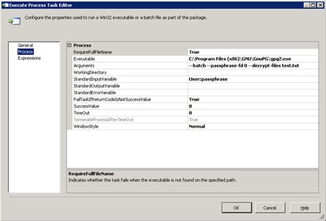 execute process task