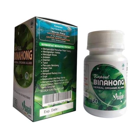 Herbal Ekstrak Kapsul Daun Binahong Inayah 60 Kapsul Lazada Indonesia