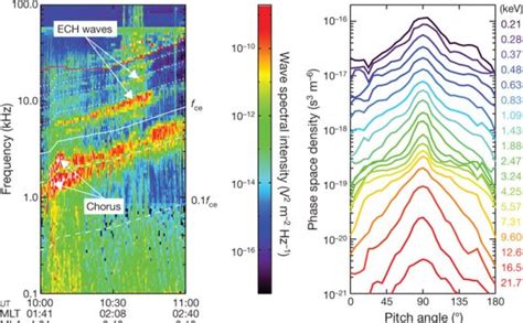 Plasma Waves