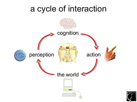 The Human Perception And Overview