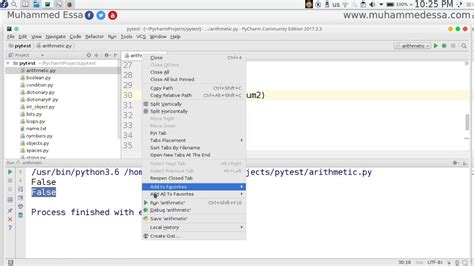 21 python 3 validate increment and decrement youtube