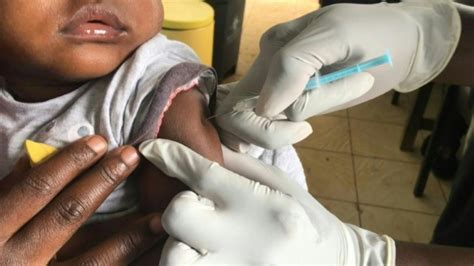 La Primera Vacuna Contra La Malaria Da Sus Frutos En El Oeste De Kenia