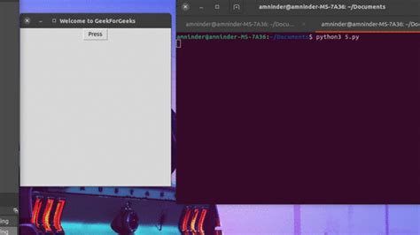 how to pass arguments to tkinter button command geeksforgeeks