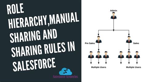 roles role hierarchy sharing rules and manual sharing in salesforce