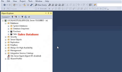 drop database in sql server tektutorialshub