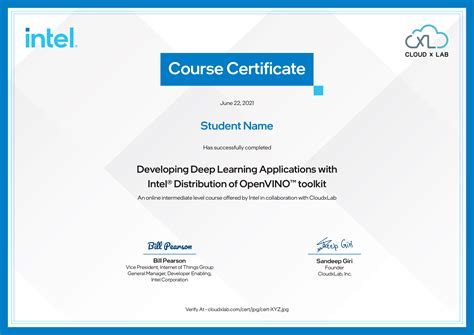 certificate course on developing deep learning applications offered by