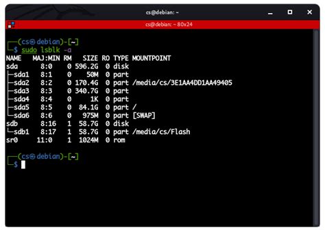 linux lsblk command tutorial for beginners