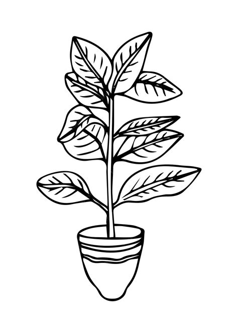Premium Vector House Plant In Pot Potted Plant In Black And White