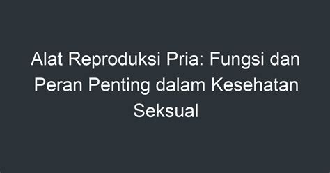 Alat Reproduksi Pria Fungsi Dan Peran Penting Dalam Kesehatan Seksual