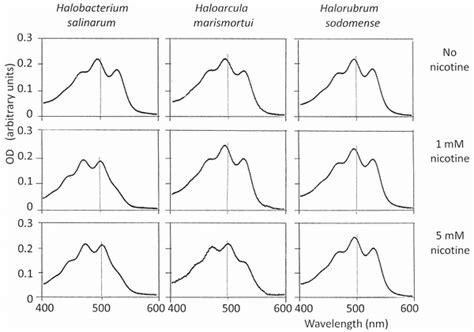 Absorption Spectra Of Methanol Acetone Extracts Of Cells Of Hbt