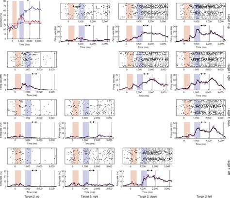Example Of A Second Added Target Selective Neuron The Graph In The