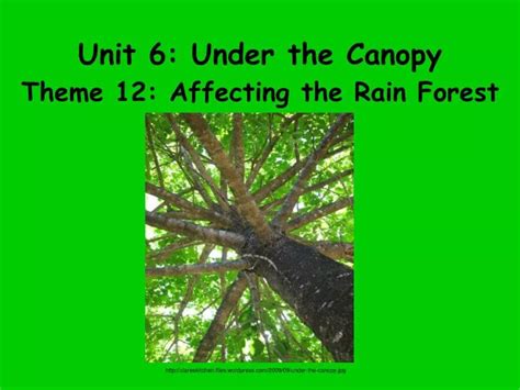 Ppt Unit 6 Under The Canopy Powerpoint Presentation Free Download
