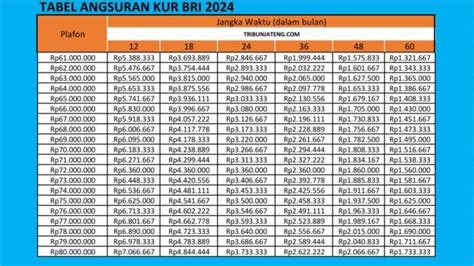 Brosur Kur Bri 2024 Tabel Pinjaman Lengkap Sampai Rp 100 Juta