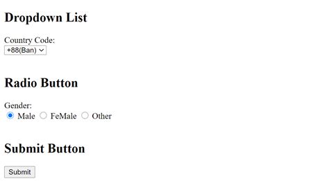 basic forms html form html input types input element