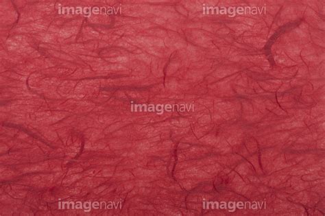 【楮和紙】の画像素材 41179275 写真素材ならイメージナビ