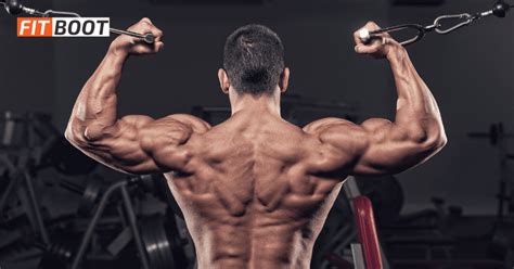 High Cable Curl How To Muscles Worked Benefits And Variations