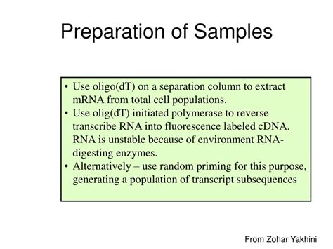 Ppt Dna Microarras Basics Powerpoint Presentation Free Download