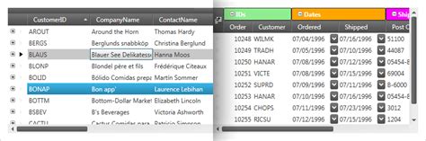 wpf data grid control wpf datagridview component viblend