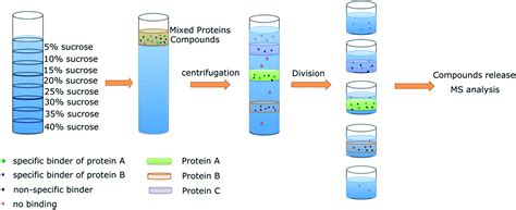 Ultracentrifugation Based Multi Target Affinity Selection Mass