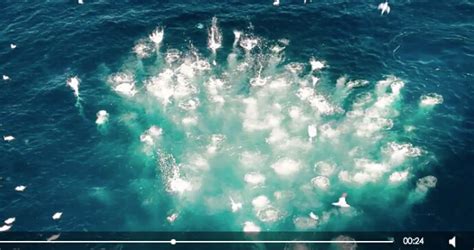 a html5 video player component for vue js