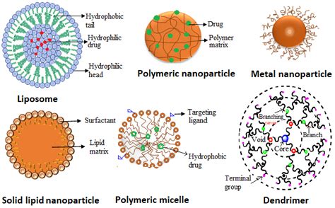 Schematic Presentation Of Different Types Of Nanocarrier Systems [8 10