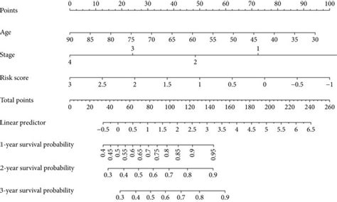 Construction And Validation Of A Predictive Nomogram A The Nomogram