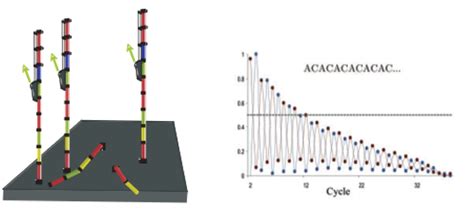 03 From Fastq Files To Alignments Introduction To Rna Seq