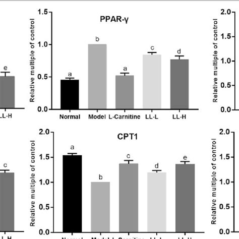 Mrna Expression Levels Of Ppar γ C Ebp α Ppar α Lpl Cpt1 And