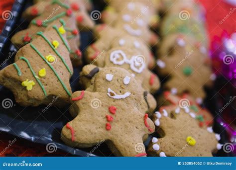 Group Of Assorted Cookies Chocolate Chip Oatmeal Raisin White
