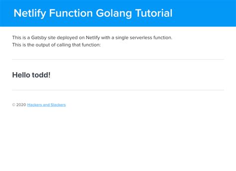 deploy serverless golang functions with netlify dev