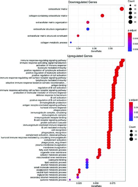 Functional Annotation Of Differentially Expressed Genes In Transgenic