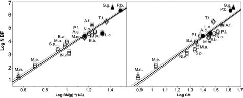 Reduced Major Axis Regressions Of Bite Force Bf At Three Bite Points