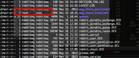 rabbitmq starting the server stack overflow