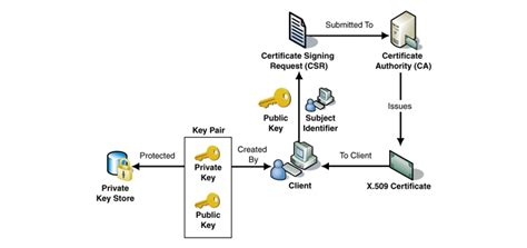 ssl tls certificates architecture process and interactions