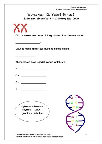 Chromosomes And Dna Worksheet For 6th 7th Grade Lesson Planet