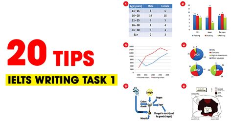 Tổng Hợp Hơn 33 Cách Làm Bài Writing Task 2 Ielts Mới Nhất Vn