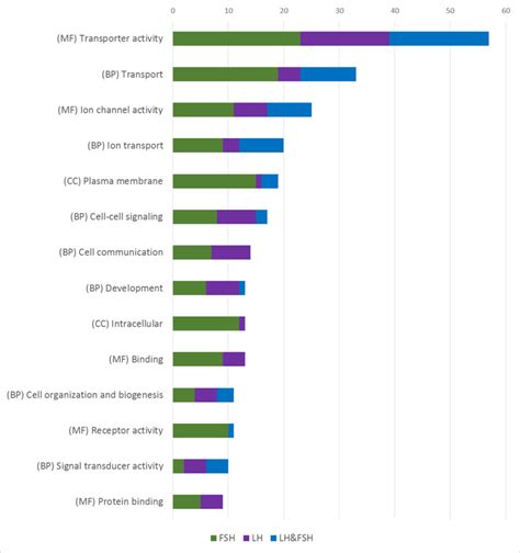 Functional Enrichment Analysis Of Enriched Genes In Each Cell Type And