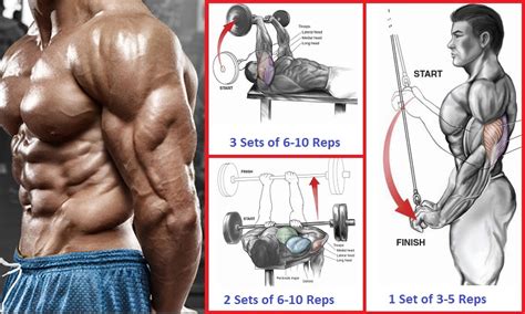 A Powerful Tricep Routine For Stimulating Growth Bodydulding