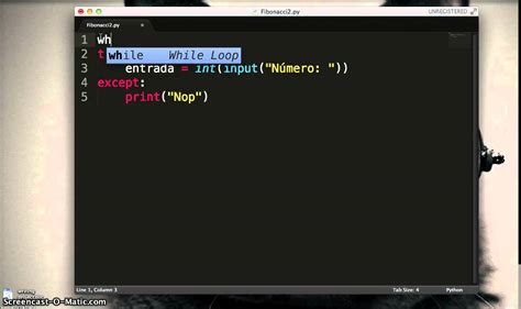 validar datos de entrada en python 3 youtube