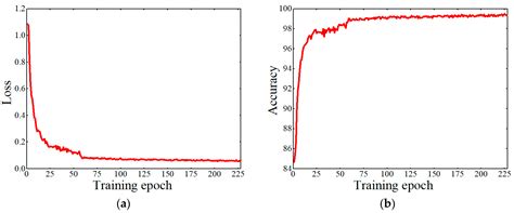 Sensors Free Full Text Automated Counting Grains On The Rice