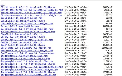 nginx yum proxy repository setup for amazon linux ec2