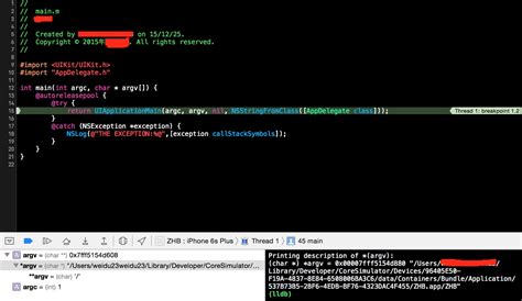 ios why the xcode automatic execute breakpoint when the app launch