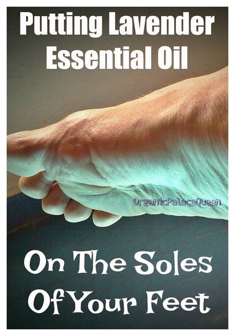 Lavender Essential Oil For Feet Organic Palace Queen Essential Oils