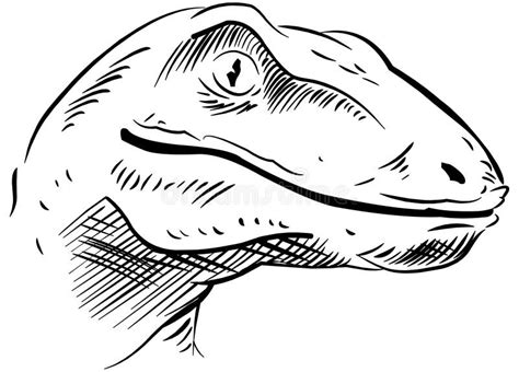 Velociraptor Illustration Drawing Engraving Ink Line Art Vector
