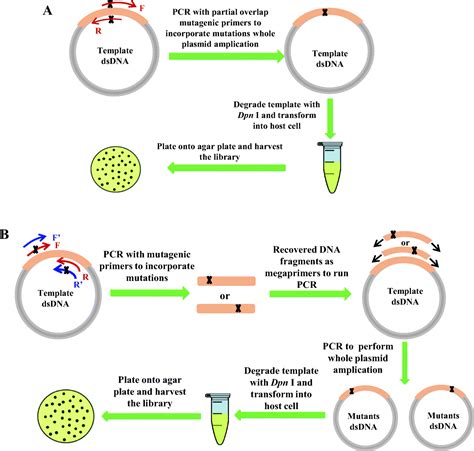 Boosting The Efficiency Of Site Saturation Mutagenesis For A Difficult