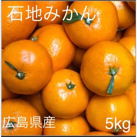 広島県産 石地みかん いしじみかん 5kg 産地直送の通販 By Hiroshis Shop｜ラクマ