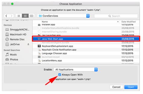 automatically open jnlp files safari fasrmatrix