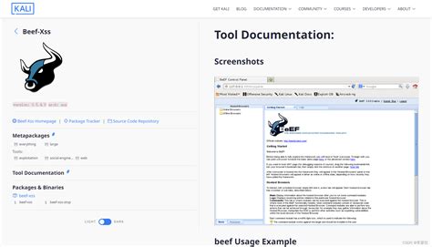 xss 工具 beef xss安装以及使用 腾讯云开发者社区 腾讯云
